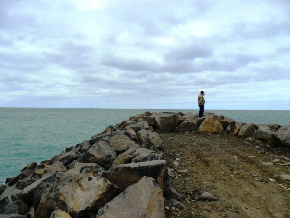 Premium Discovery at Timaru Port – Goose Barnacles – From Worry to Glory